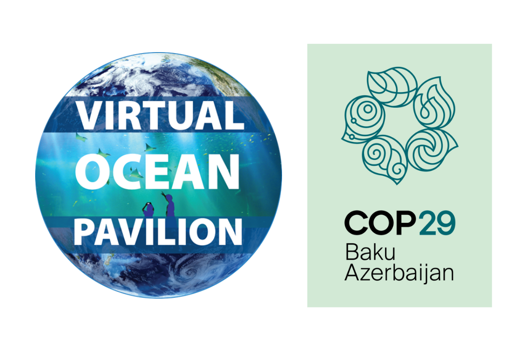 COP29 Virtual Ocean Pavilion – Roadmap to Oceans and Climate Action ...